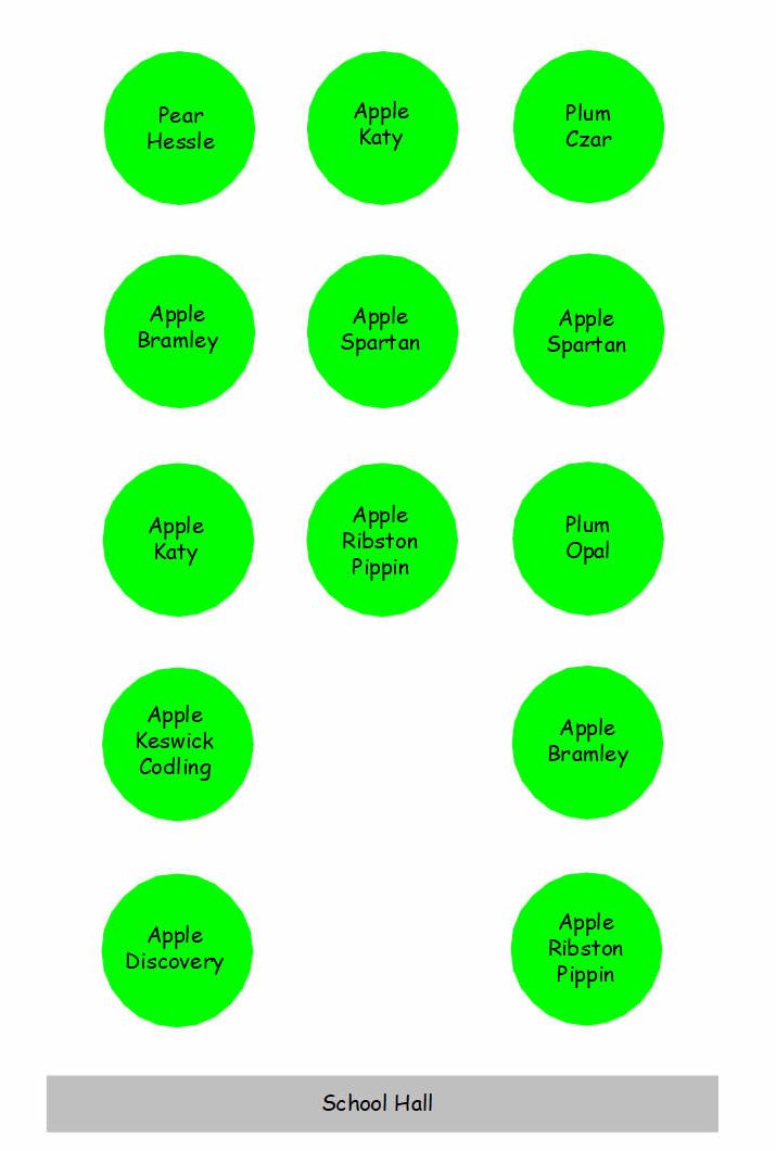 Orchard – ACE EcoSchool