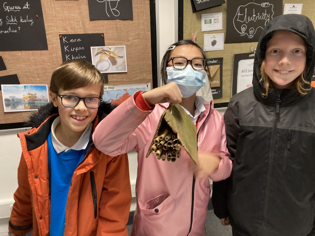 Helping biodiversity – ACE EcoSchool